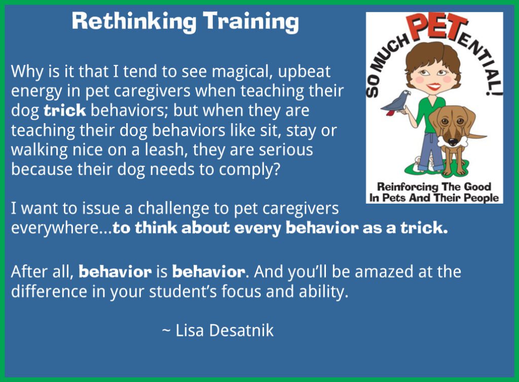 Dog Quote Lisa Desatnik Certified Dog Trainer Part 2