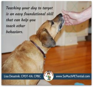 Teaching Dog To Hand Target | So Much PETential
