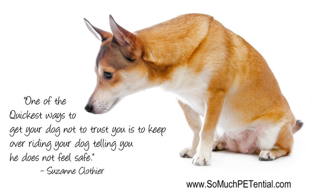 Hear Your Dog When He Says He Does Not Feel Safe So Much PETential