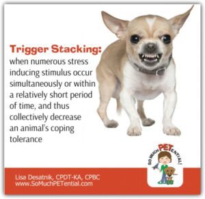 Trigger Stacking In Dogs | So Much PETential