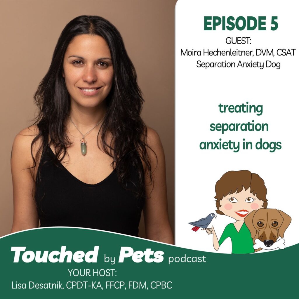 Lives Touched by Pets Podcast | Inspiring Stories for Pet Lovers | So ...